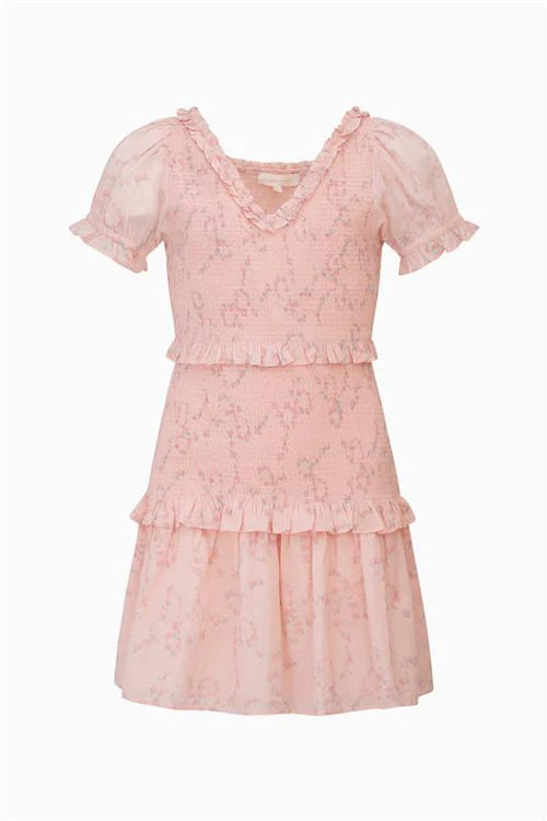 Banson Dress Apple Blossom – the blue béret