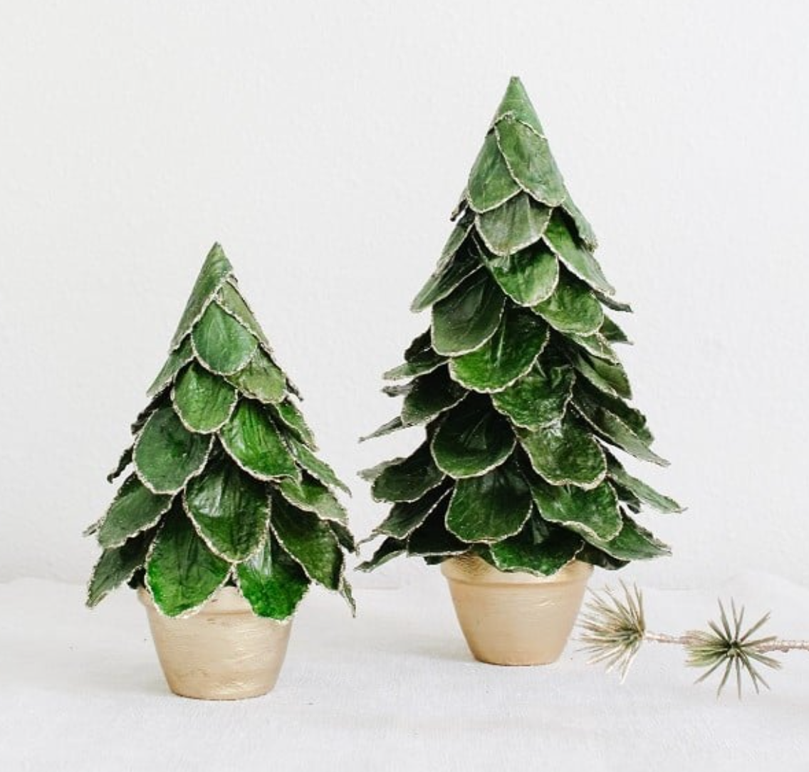Potted Butterfly Leaf Cone Tree (Green/Gold) – the blue béret
