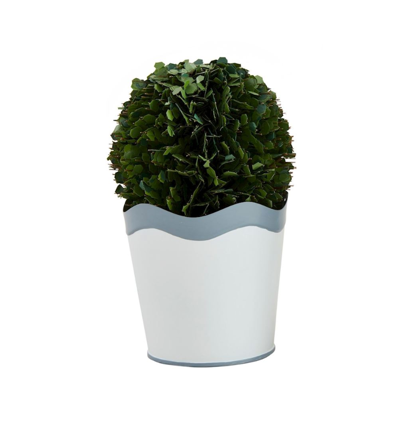 Wavy Boxwood Pot – the blue béret