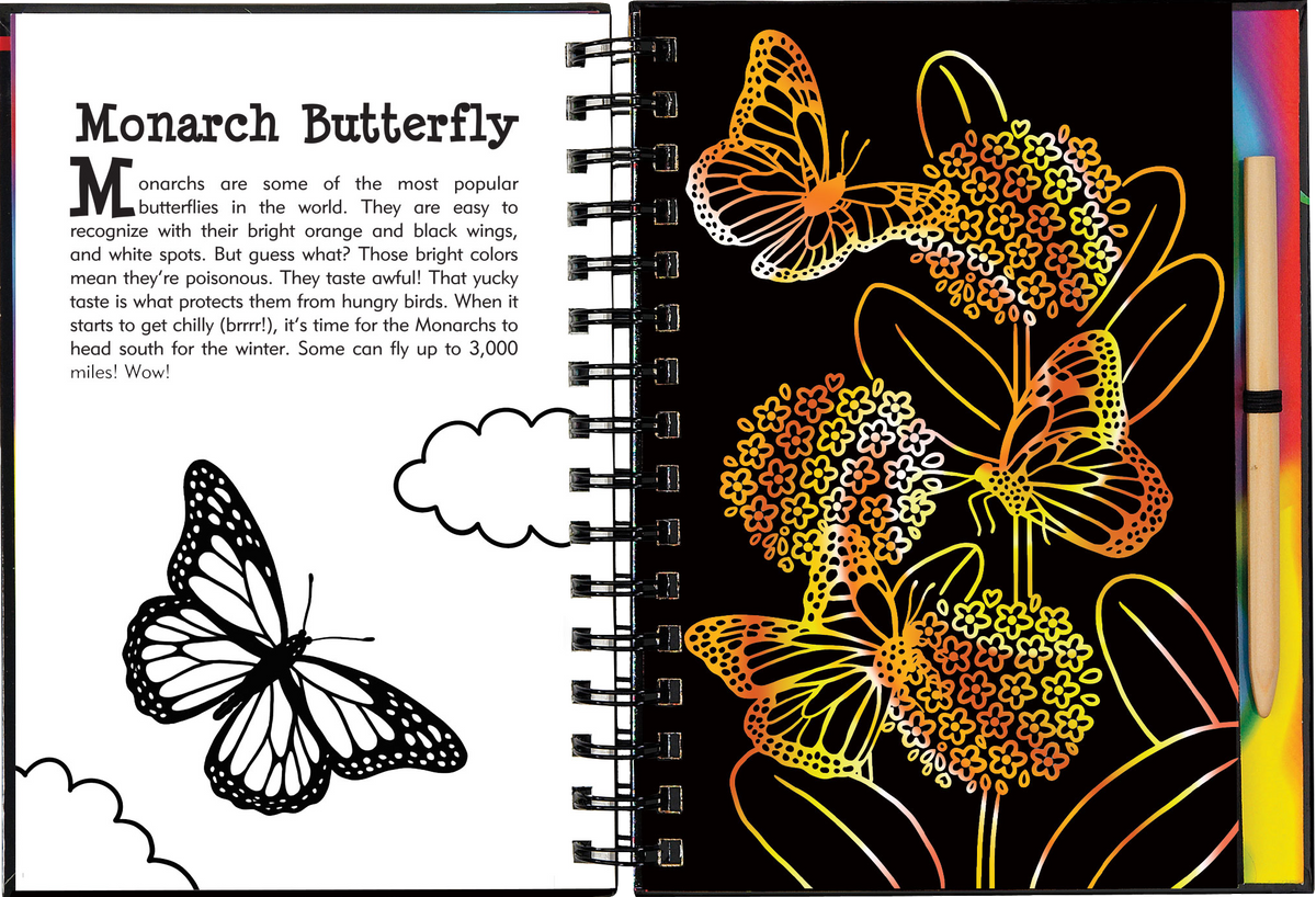 Scratch & Sketch™ Butterflies & Friends (Trace Along) – the blue béret